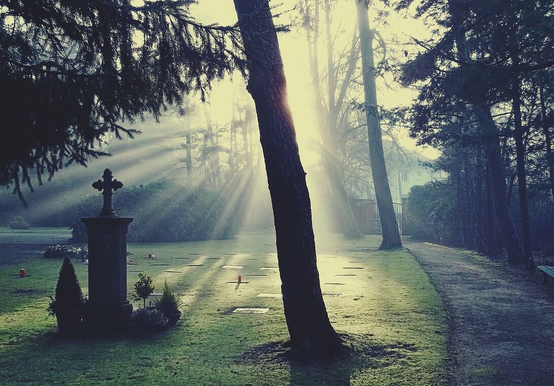 Evil, Shock, Trauma, Grief, Grace - Live With Grace™: Beyond Hope